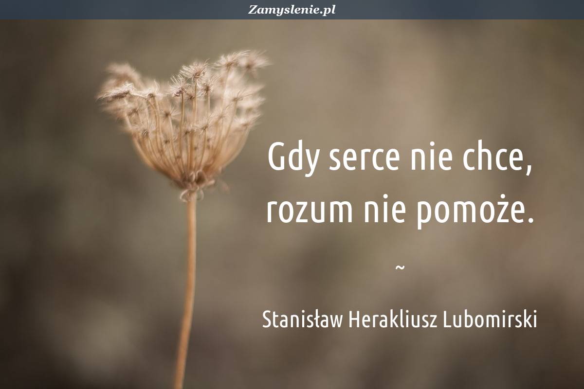 Cytat: Gdy serce nie chce, rozum nie pomoże. - Zamyslenie.pl Cytat: Gdy serce nie chce, rozum nie pomoże. - Zamyslenie.pl